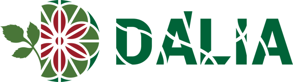 Dália - Flori pentru suflet